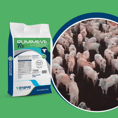 Rumimeve Fix - o premix ideal para a dieta dos bovinos - Imeve